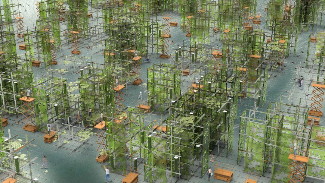 CY TALK | 生物设计科学怪人 ecoLogicStudio 如何运用藻类融入我们的生活 - 哔哩哔哩