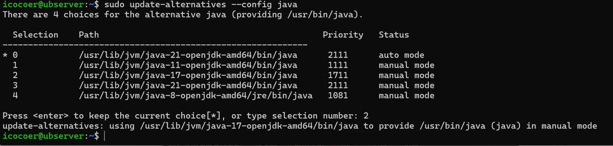 在ubuntu server下使用mcsm搭建Minecraft Java服务器 - 哔哩哔哩