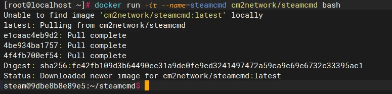 使用Docker运行steamcmd（附带使用docker运行泰拉瑞亚服务端） - 哔哩哔哩