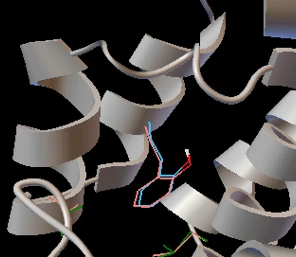 干货autodockVina分子对接进行柔性对接 - 哔哩哔哩
