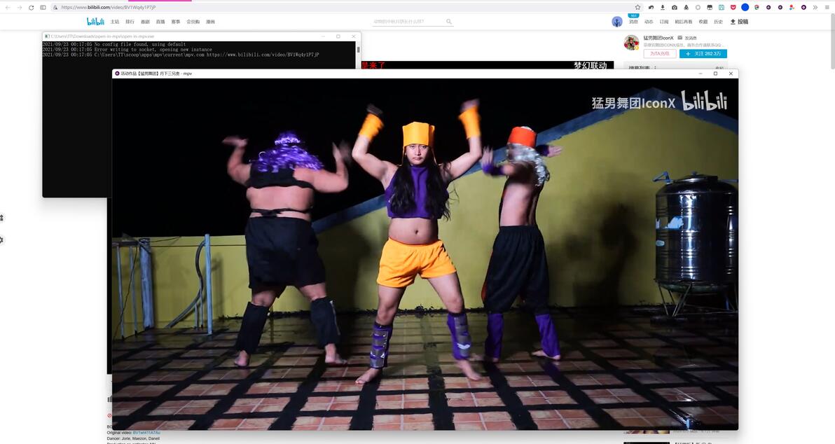 Win10上调用mpv播放浏览器视频 - 哔哩哔哩