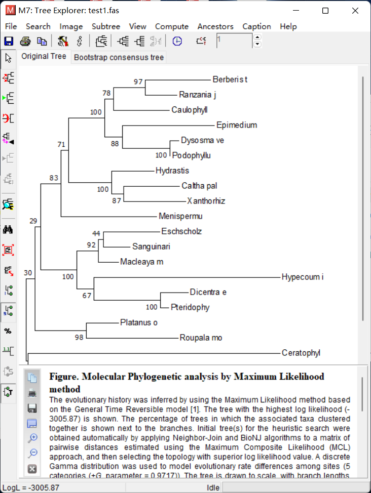 个人学习记录：建树流程1——bioedit的序列编辑及MEGA的使用 - 哔哩哔哩