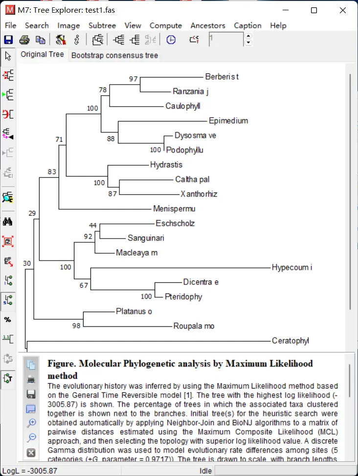 个人学习记录：建树流程1——bioedit的序列编辑及MEGA的使用 - 哔哩哔哩