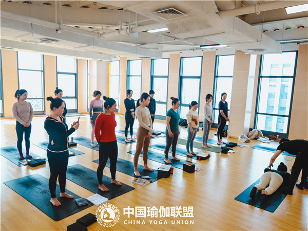 瑜伽教练培训学费一般多少钱 中国瑜伽联盟证书 哔哩哔哩