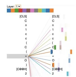 在分子性质预测中强大的bert预训练模型 - 哔哩哔哩