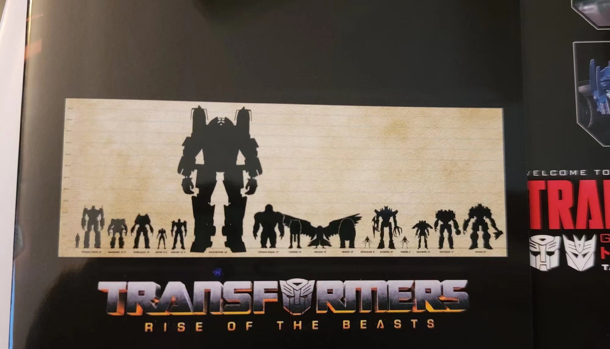 《变形金刚7：超能勇士崛起》角色官方比例图 - 哔哩哔哩