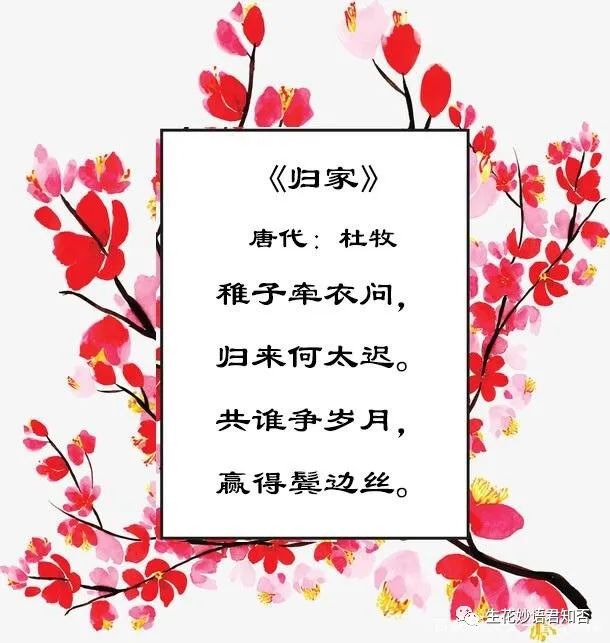 岁末逢大寒,除夕春节喜相连 哔哩哔哩