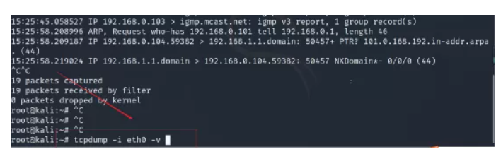 网络安全工程师演示：白帽黑客如何使用Tcpdump网络嗅探和网络数据分析？ - 哔哩哔哩