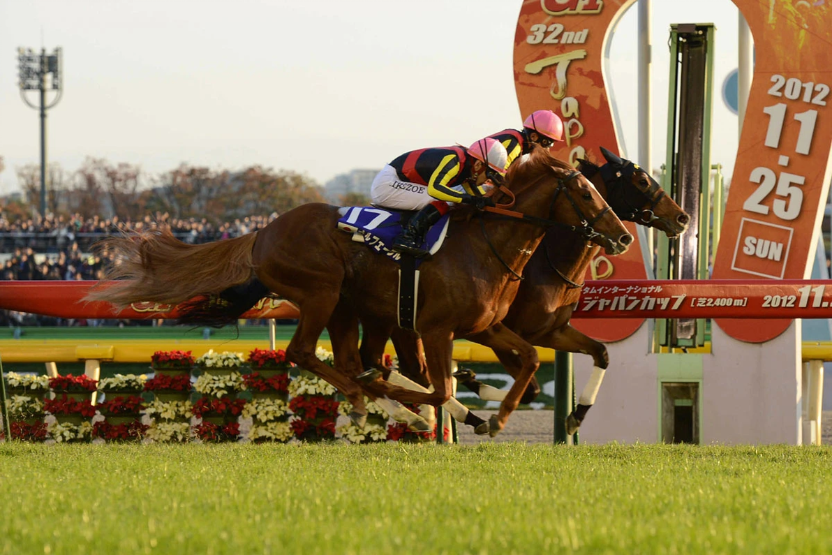 【全图鉴】日本JRA年度代表马（1954-2022） - 哔哩哔哩