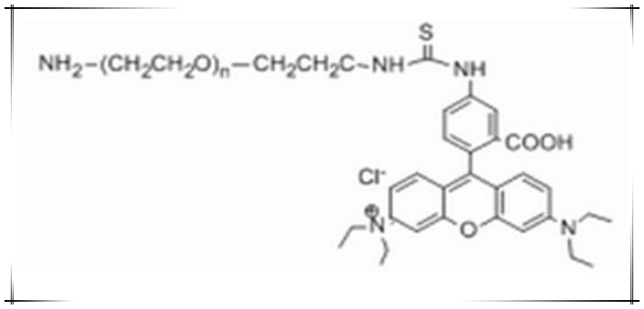 供应荧光类PEG试剂罗丹明-PEG-氨基,RB-PEG-NH2,Rhodamine B-PEG-amine - 哔哩哔哩