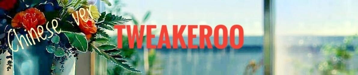 【完整汉化】Tweakeroo ——语言文件（1.13.2/1.14.4/1.15.2） - 哔哩哔哩