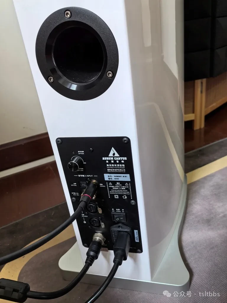 金琅Harmony Mini小和谐DSP有源落地音箱评测 - 哔哩哔哩