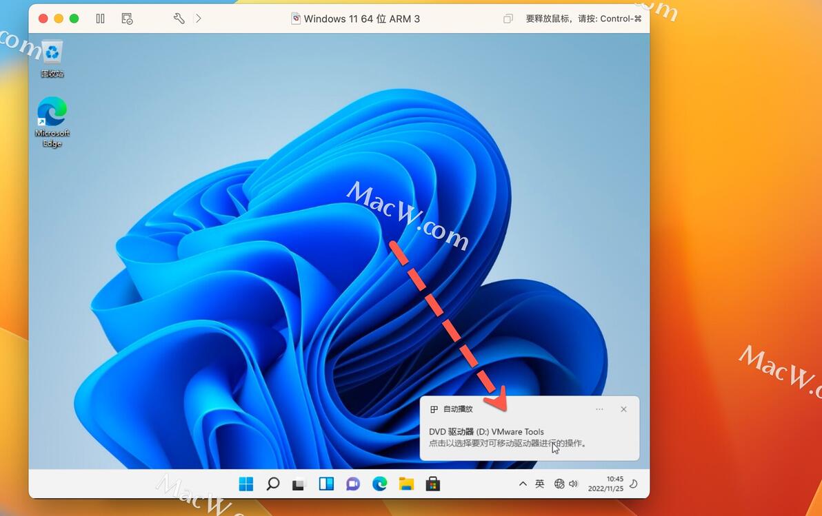 M用户使用VM虚拟机安装win11连不上网，怎么解决 - 哔哩哔哩