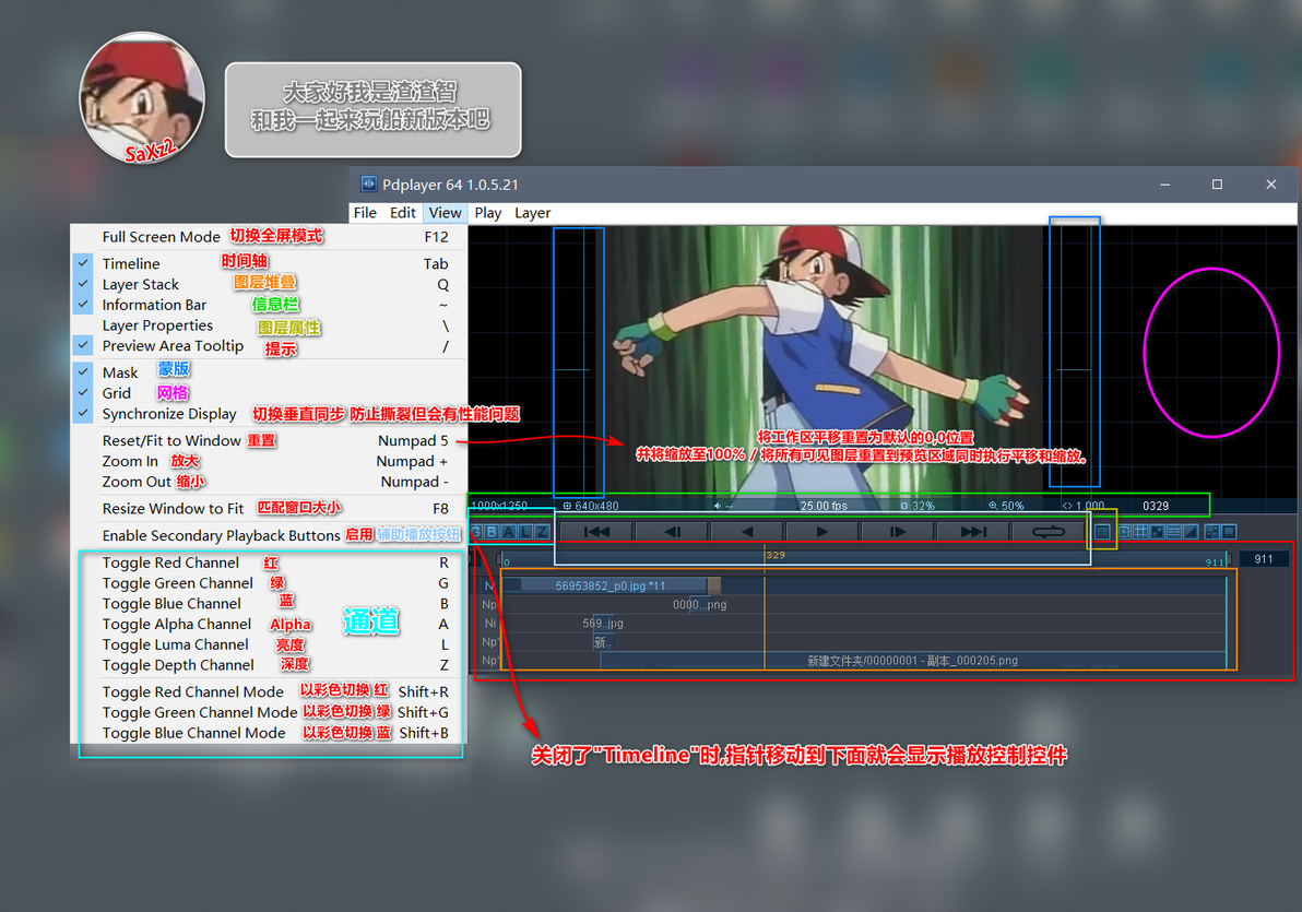 【教程】PDPLAYER 入门 - 哔哩哔哩