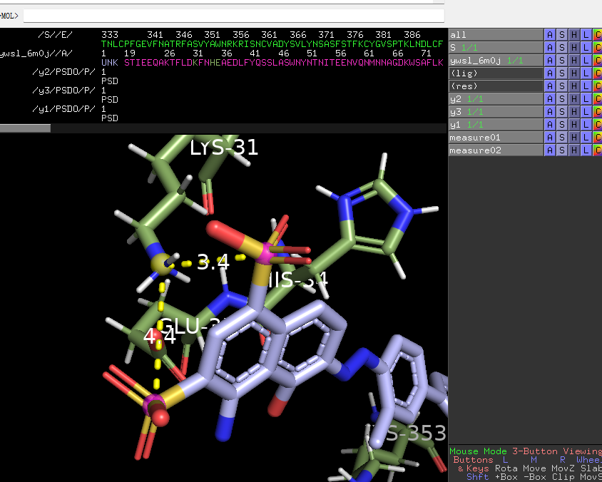 使用Pymol展示分子对接结果 - 哔哩哔哩