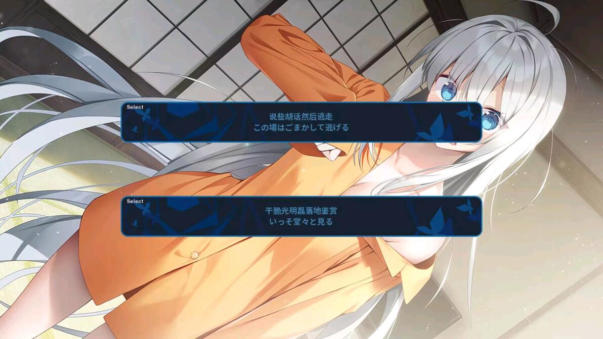 【GalGame系列】前翼社新作《GINKA》全选择支攻略 - 哔哩哔哩