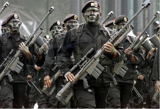 【世界著名狙击步枪】穿甲之王——美国巴雷特系列狙击步枪 - 哔哩哔哩