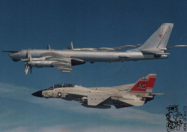 美国海航F-14中队补完计划——第四期（VF-31） - 哔哩哔哩