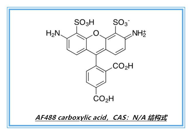 亮绿色荧光染料：AF488 acid，Alexa Fluor488 COOH，通常用于显微镜和细胞分析 - 哔哩哔哩