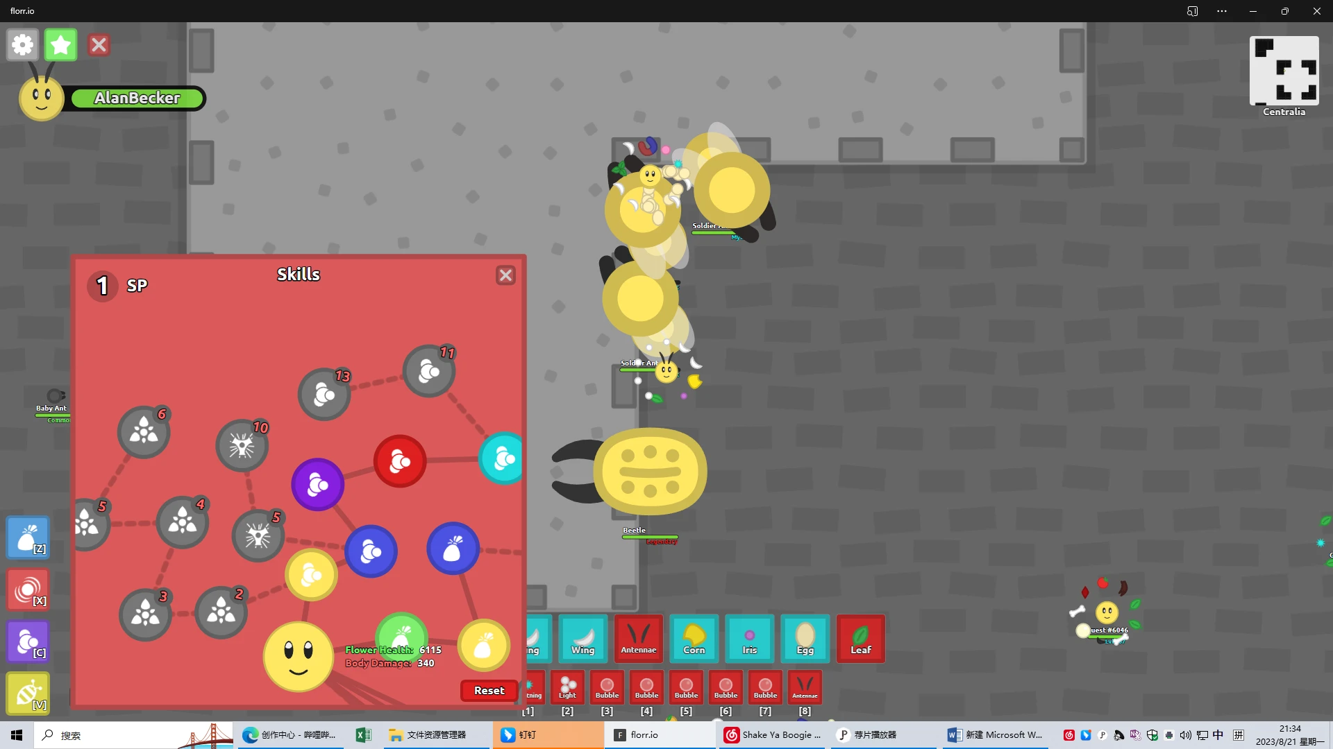 {Florr.io}升什么技能 - 哔哩哔哩