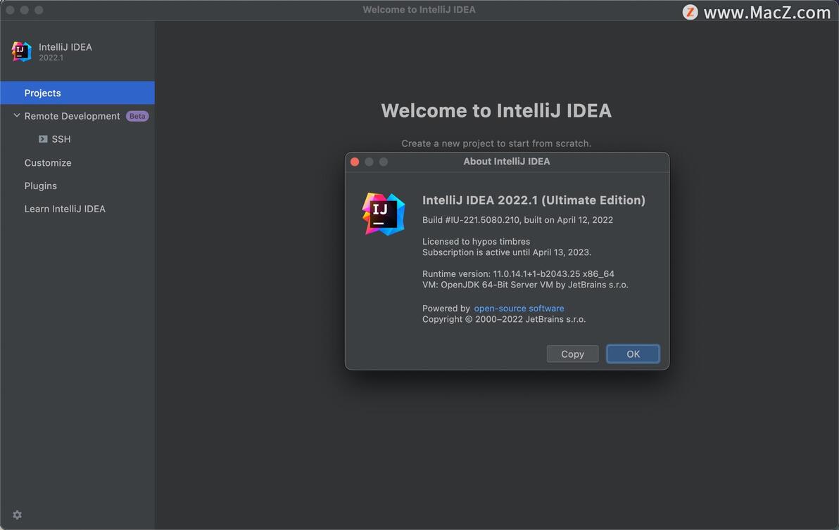 JetBrains IntelliJ IDEA 2022 Mac/win(Java平台IDE)v2022.1无限试用版 - 哔哩哔哩