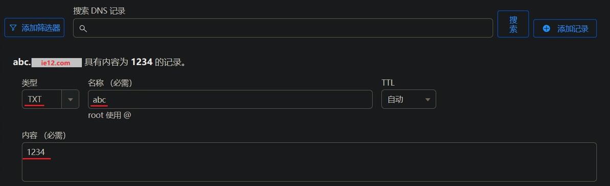 「前置」在Dynv6和Cloudflare上更新TXT记录 - 哔哩哔哩
