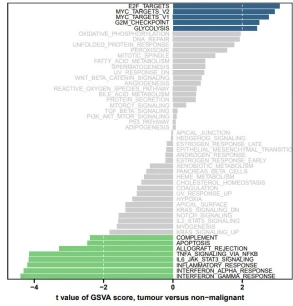 GSEA与GSVA傻傻分不清楚？一文帮你搞定!/SCI论文/科研/研究生/生信分析热点思路 - 哔哩哔哩