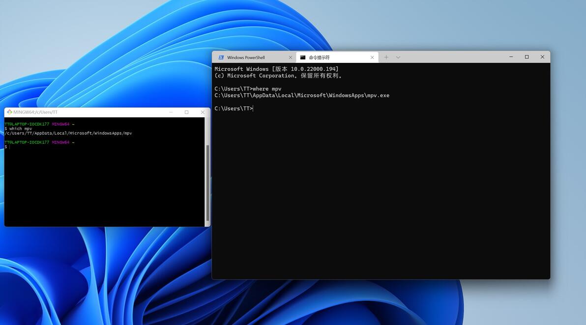 Win10上调用mpv播放浏览器视频 - 哔哩哔哩