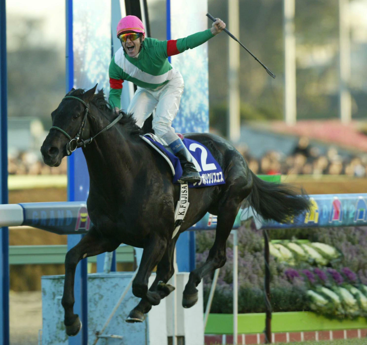 【全图鉴】日本JRA年度代表马（1954-2022） - 哔哩哔哩