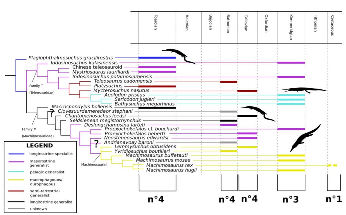 蛟横四海惊涛涌——简单说说海鳄亚目（完整版） - 哔哩哔哩