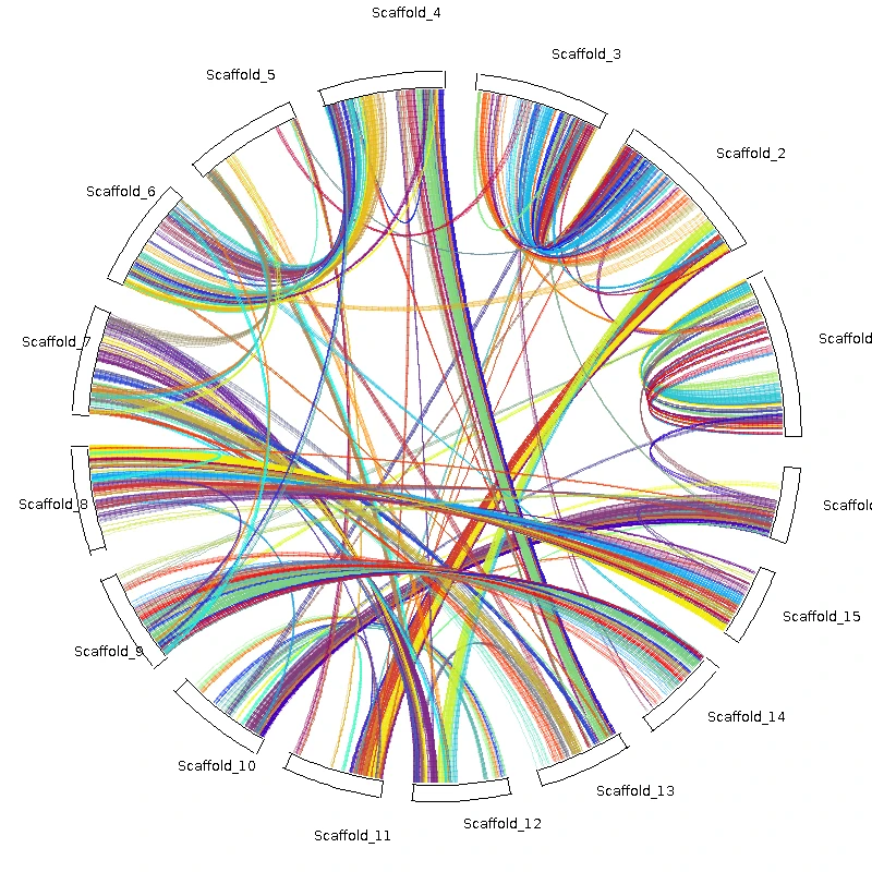 【电子笔记】基因组共线性分析简单流程 - 哔哩哔哩
