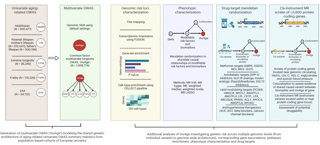 4张图纯生信登上16分+Nature新子刊！孟德尔随机化联手GWAS数据分析，卷起来~ - 哔哩哔哩