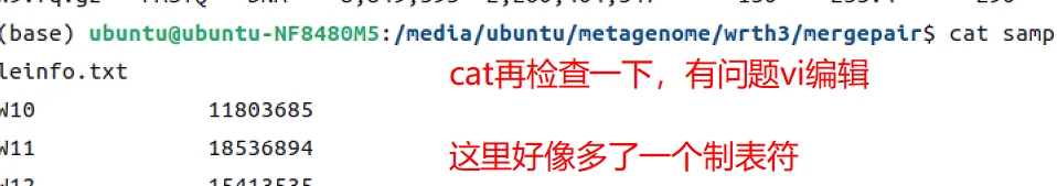 NCycDB使用流程笔记 - 哔哩哔哩