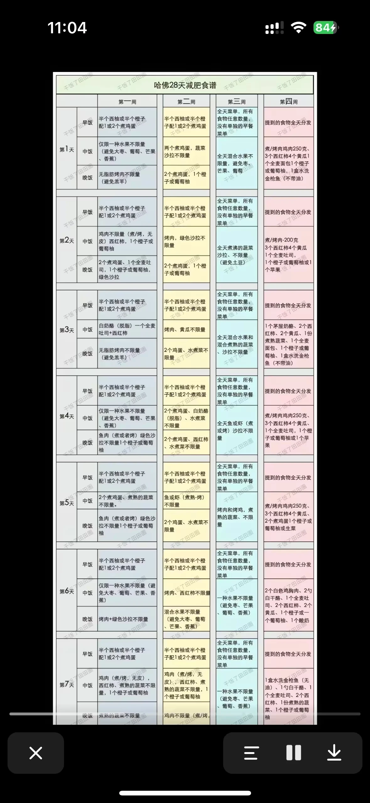 哈佛 28天 减肥法 哔哩哔哩