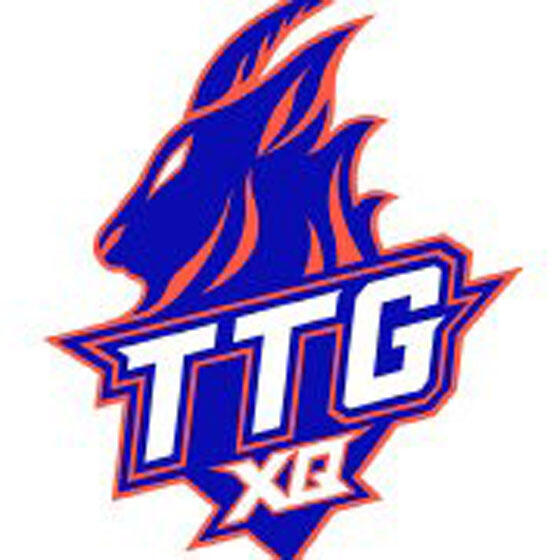 蓄谋已久的新军TTG.XQ 未来能否颠覆KPL格局 - 哔哩哔哩