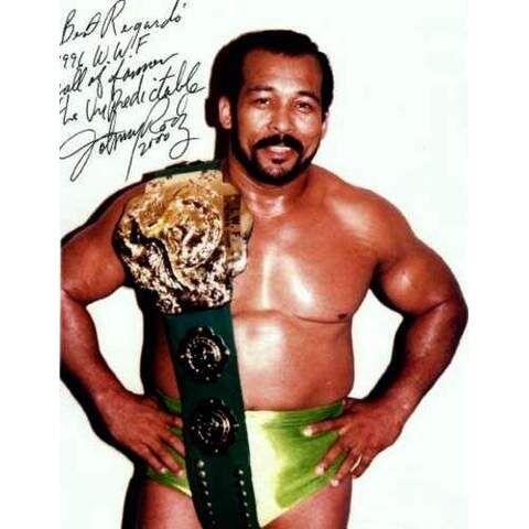 WWE摔角图鉴：历代名人堂成员（第一部分） - 哔哩哔哩