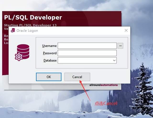 PLSQL Developer 13软件安装包下载及安装教程 - 哔哩哔哩