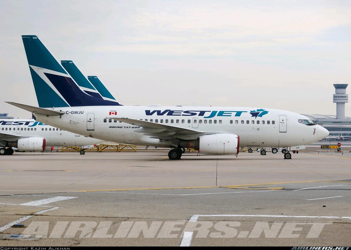 「航空图鉴」Boeing737-600 - 哔哩哔哩