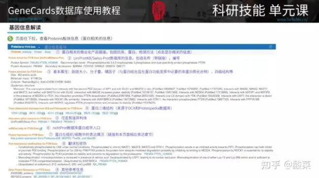 轻松获取基因全部信息，GeneCards数据库使用教程 - 哔哩哔哩
