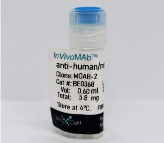 BioXCell艾美捷InVivoMAb抗人/小鼠/大鼠淀粉样蛋白-β说明书 - 哔哩哔哩