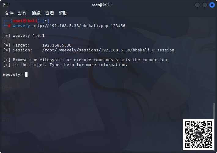 weevely使用及流量分析 - 哔哩哔哩