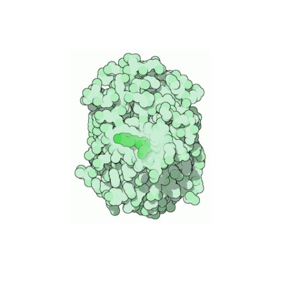 ZsGreen和T-Sapphire绿色荧光蛋白 - 哔哩哔哩