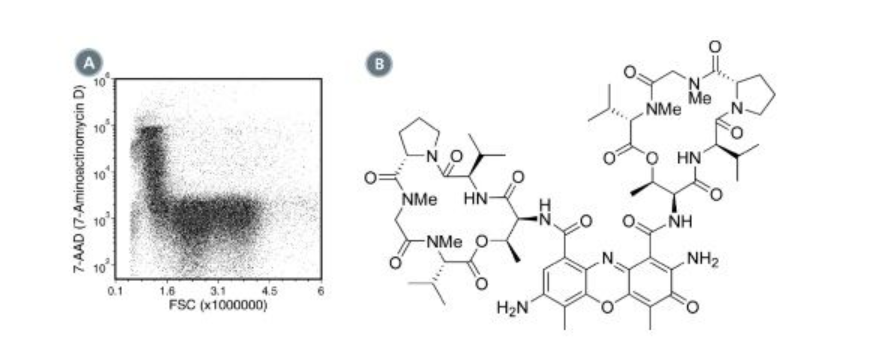 7-Aminoactinomycin D (7-AAD) - 哔哩哔哩