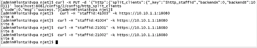 【最佳实践】利用 OpenNJet 实现灰度发布 - 哔哩哔哩
