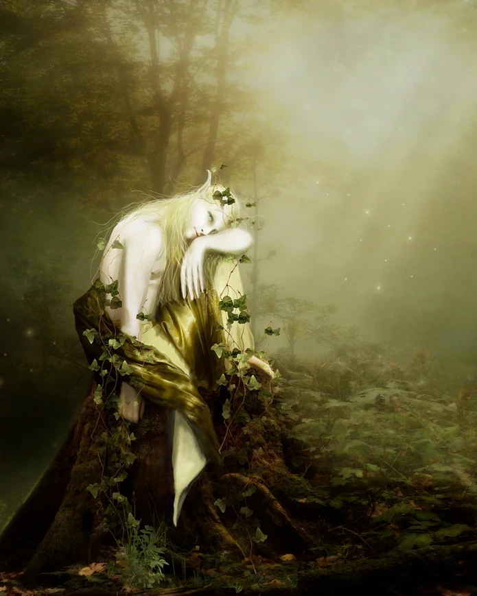 DND妖精神系--喜乐王庭The Seelie Court - 哔哩哔哩