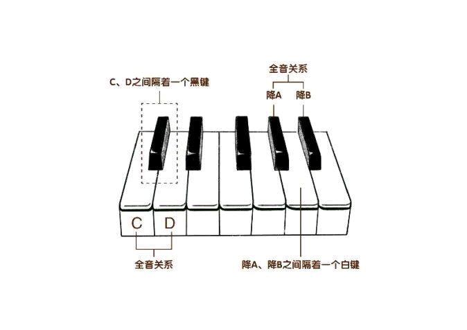 简单认识钢琴琴键 哔哩哔哩