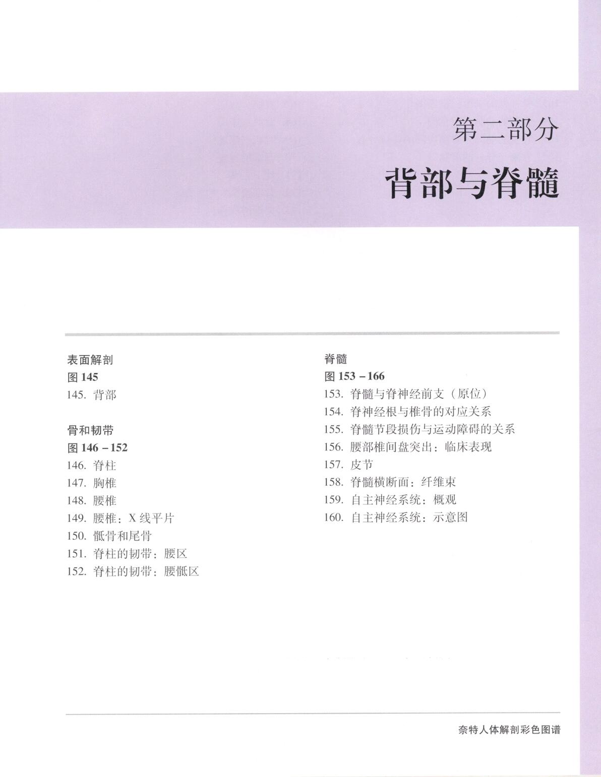 《奈特人体解剖彩色图谱 第3版》Frank H. Netter原著；王怀经主译&R - 哔哩哔哩