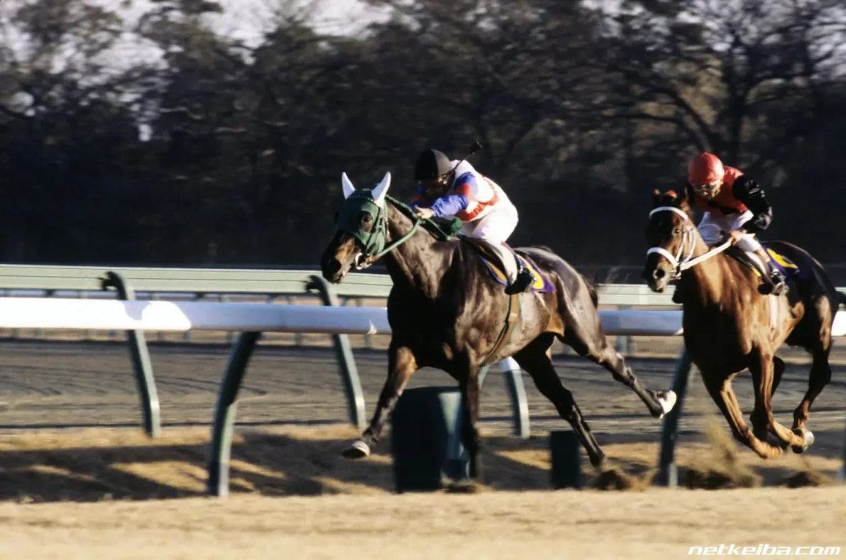 【全图鉴】日本JRA年度代表马（1954-2022） - 哔哩哔哩