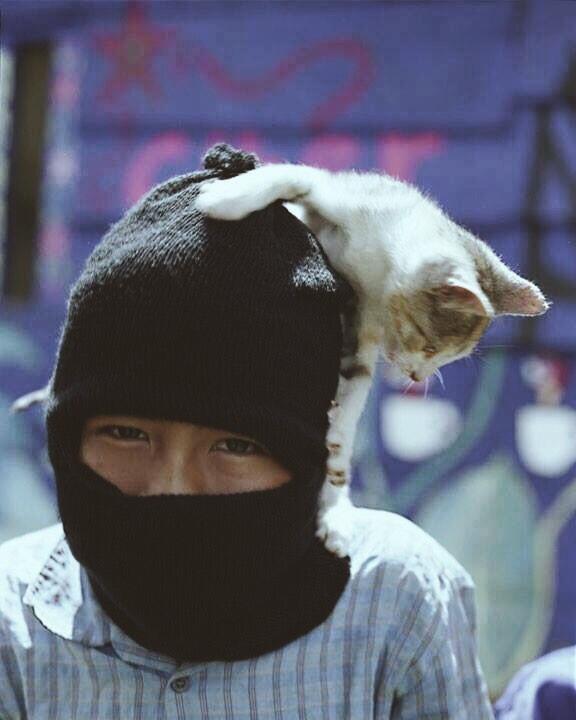 从《P.T.》到《死亡搁浅》—— Archillect 204863图形密码破译事件 - 哔哩哔哩