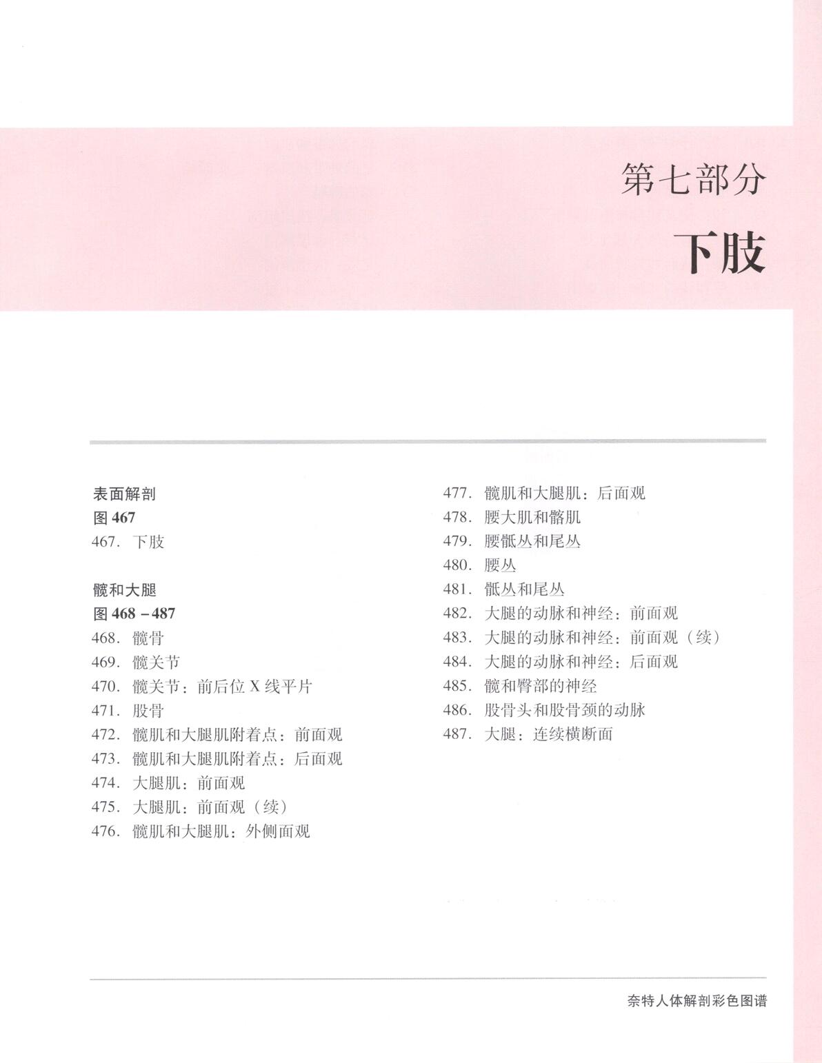 《奈特人体解剖彩色图谱 第3版》Frank H. Netter原著；王怀经主译&R - 哔哩哔哩